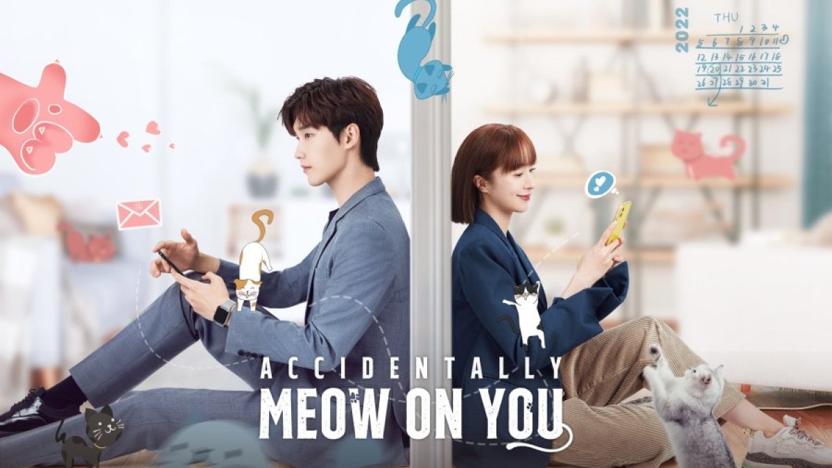 Confira o MV de “Waiting For You”, OST do drama “Accidentally Meow on ...